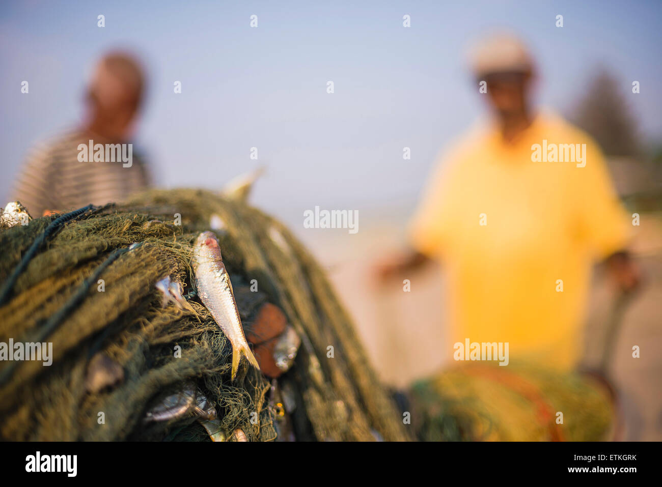 Where can you net fish on the south coast?