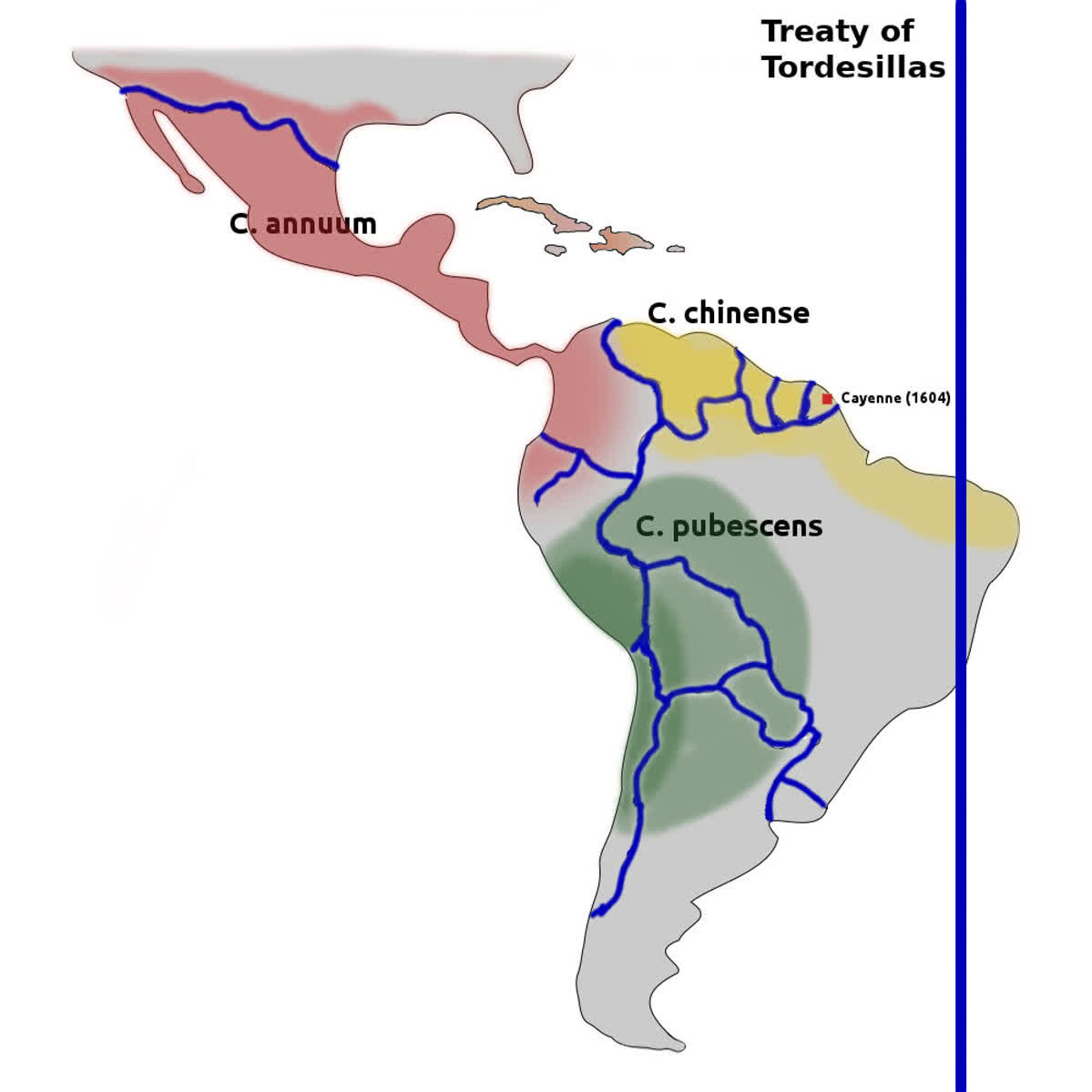 Where did chili originally come from?