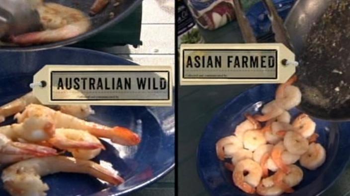 Where does Australia import prawns from?