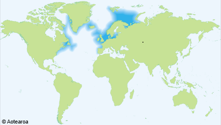 Where does British cod come from?