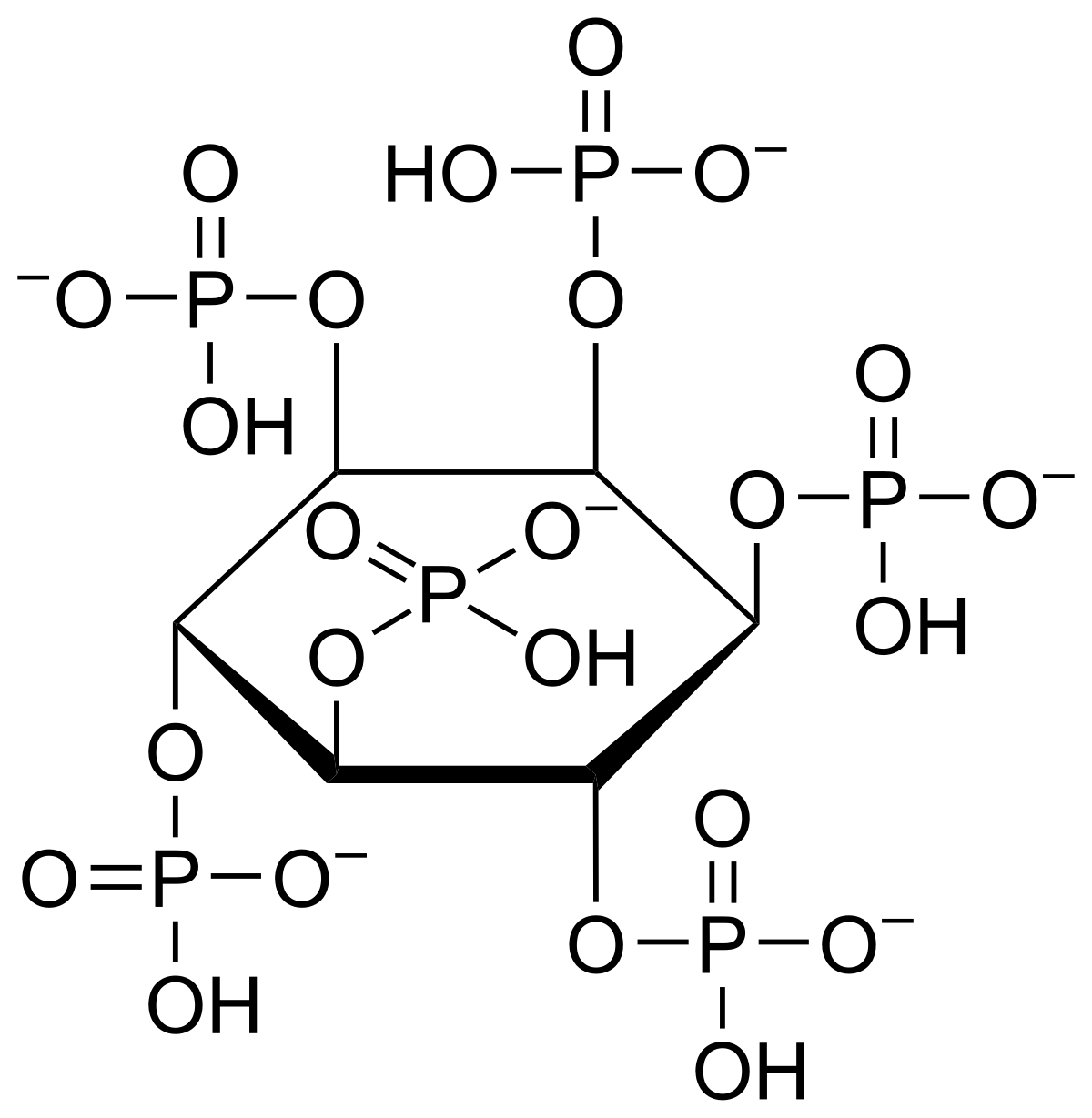 Where is phytase used?