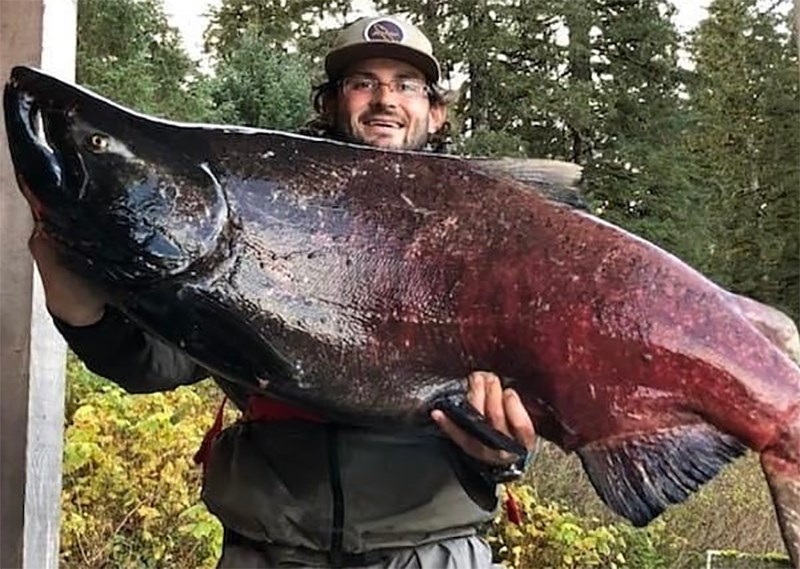 Where is salmon caught in BC?