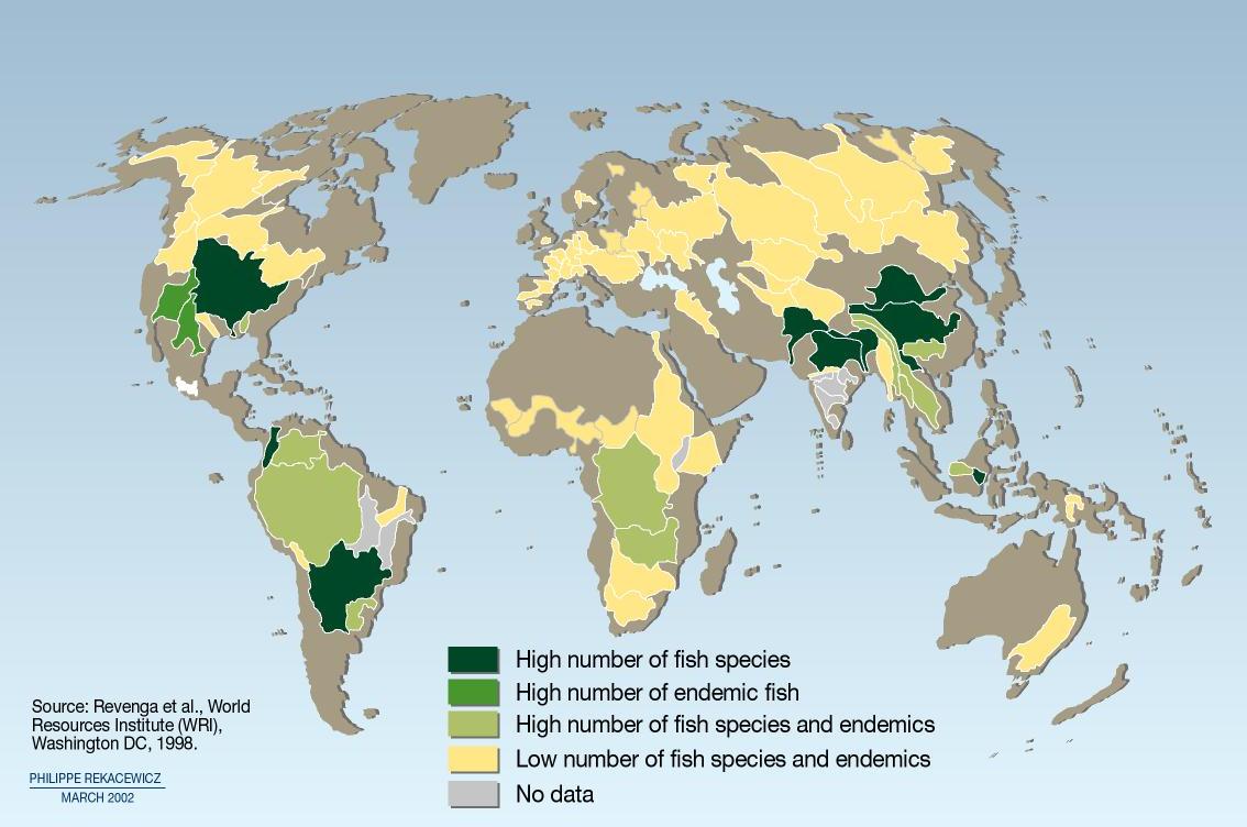 Where is the highest freshwater fish diversity?