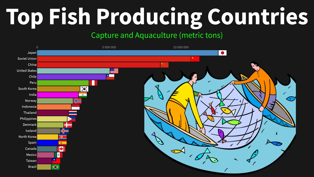 Where is the most fish produced?