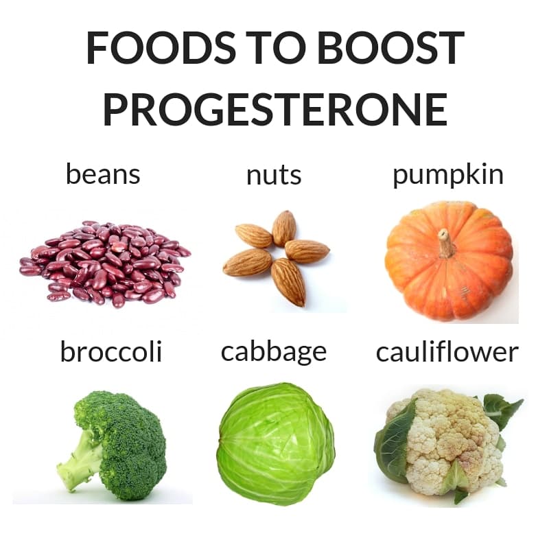 Which beans increase progesterone?