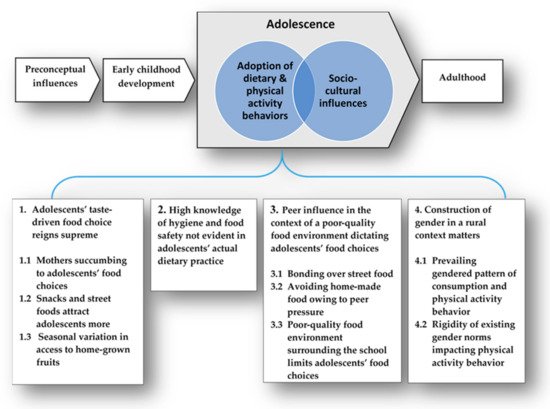 Which dietary pattern also accounts for social and cultural aspects?