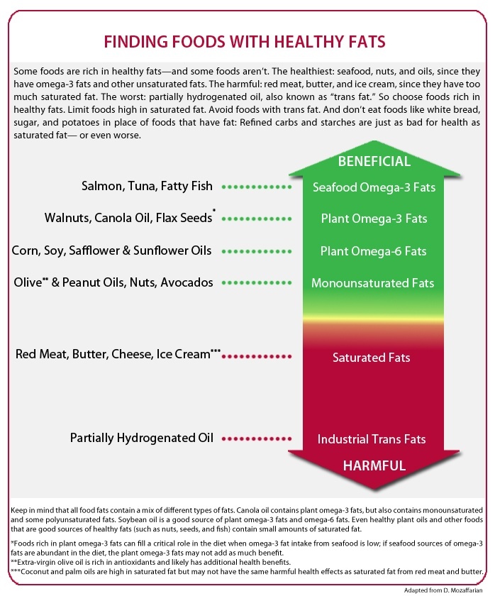 Which fat is the least healthiest?