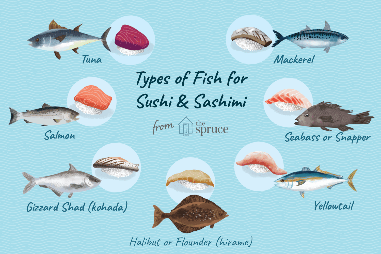 Which fish can be eaten raw?