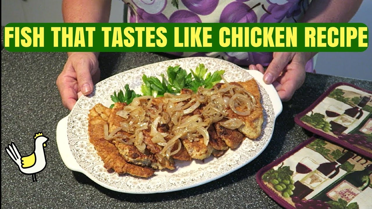 Which fish tastes most like chicken?