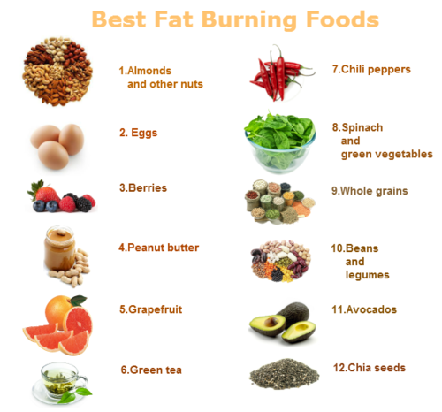 Which food burns the most fat?