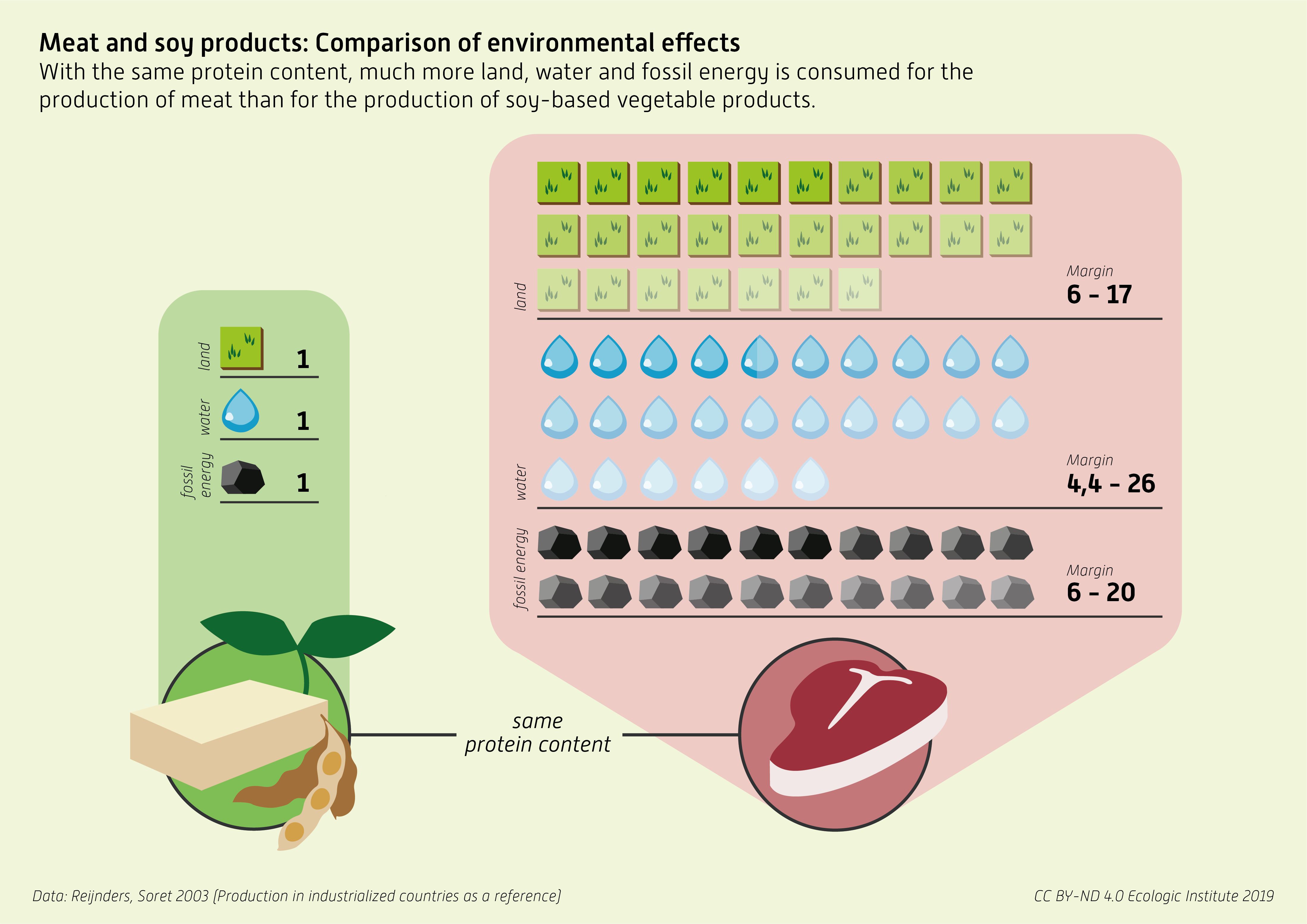 Which has more protein meat or soybeans?