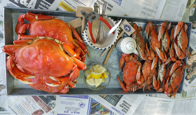 Which is better Dungeness crab or blue crab?