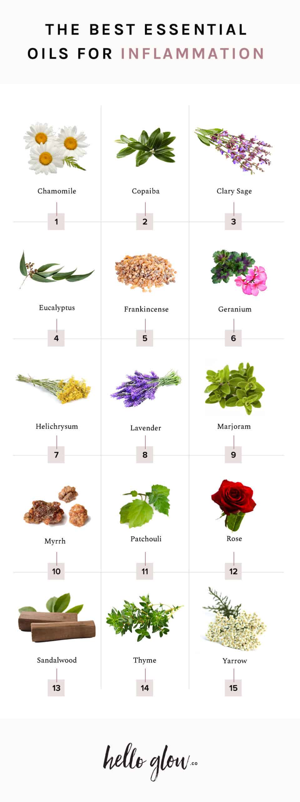 Which oil is most anti-inflammatory?