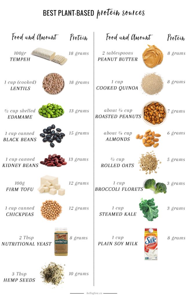 Which plant-based protein is best?