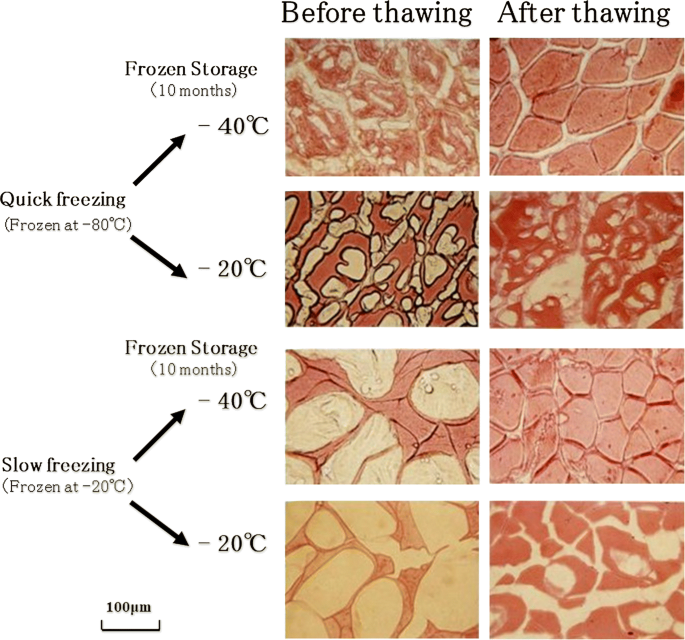 Which problems do affect the quality of frozen meat?