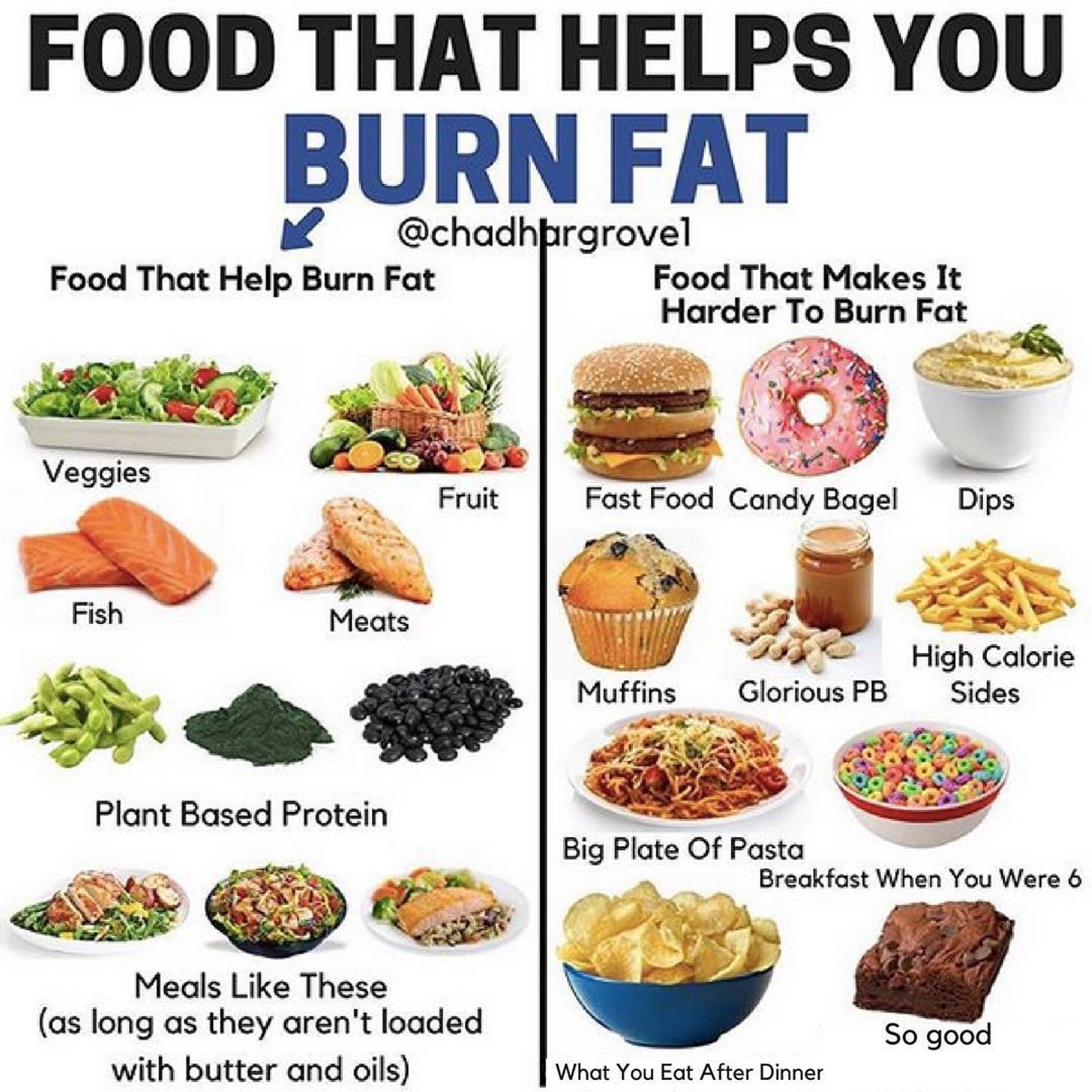 Which thing burns fat the most?