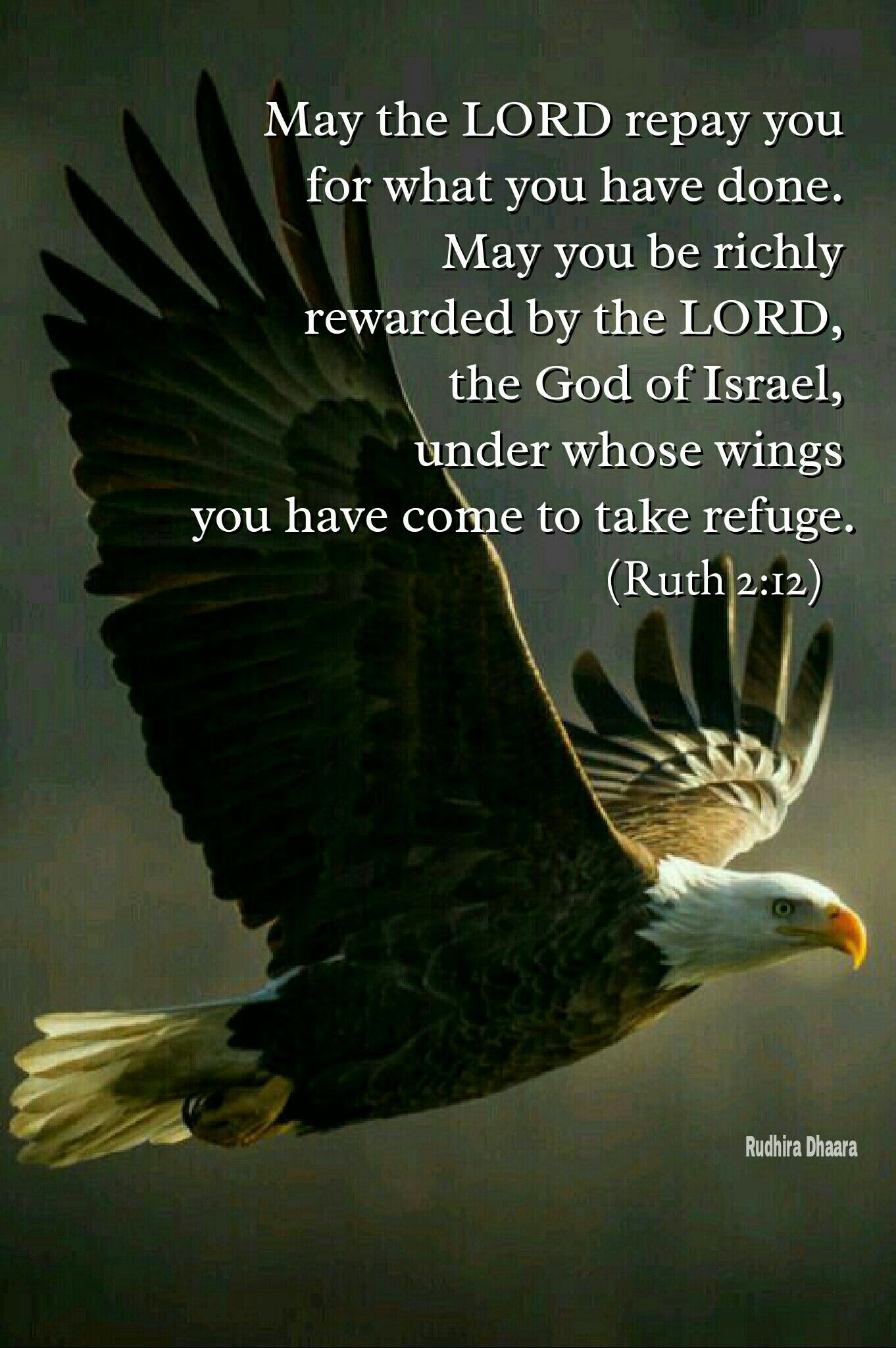 Who said May the Lord repay you for what you have done may you be richly rewarded by the Lord the God of Israel under whose wings you have come to take refuge?