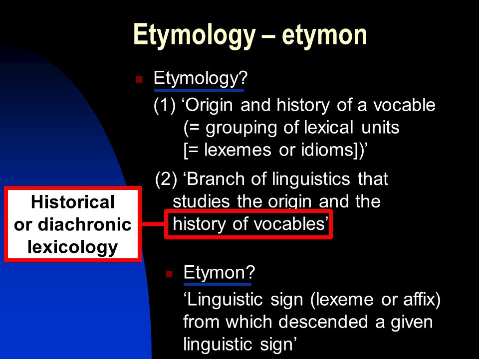Who studies etymology?