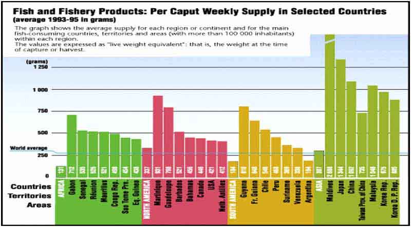 Why are fish exports important to Canada's balance of trade?