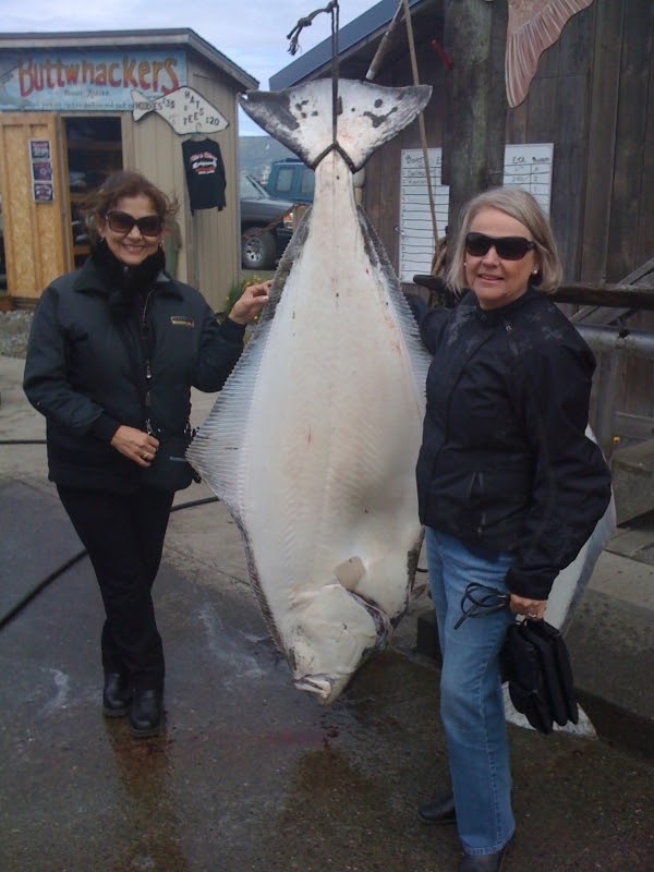 Why are halibut cheeks so good?