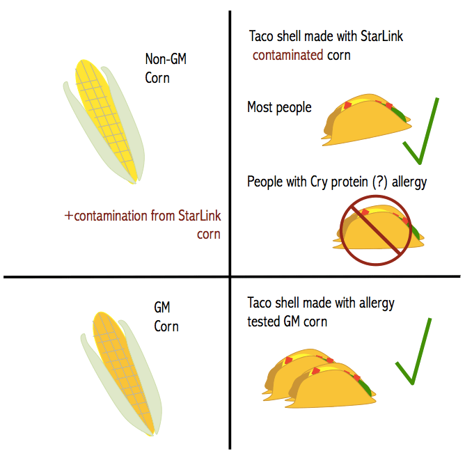 Why are people allergic to GMO?