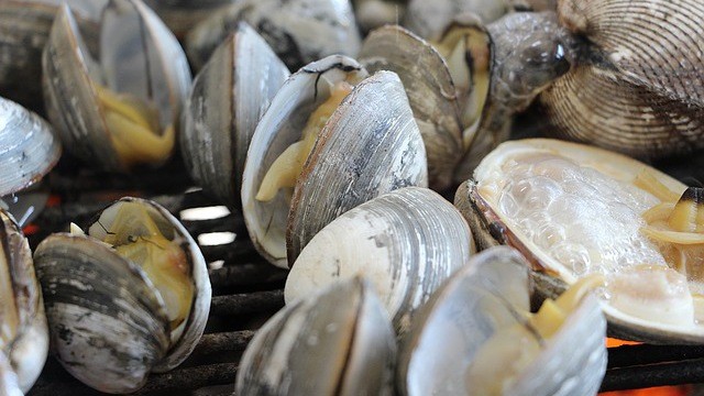 Why are the most common form of food poisoning in the Philippines comes from shellfish and sea foods?