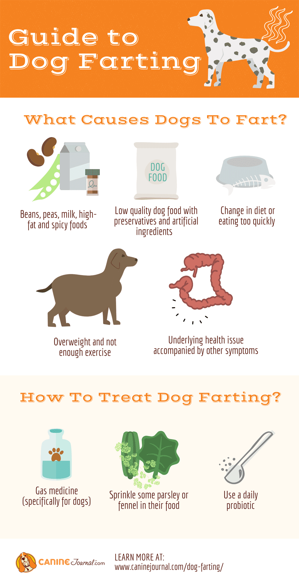Why do dogs fart nasty?