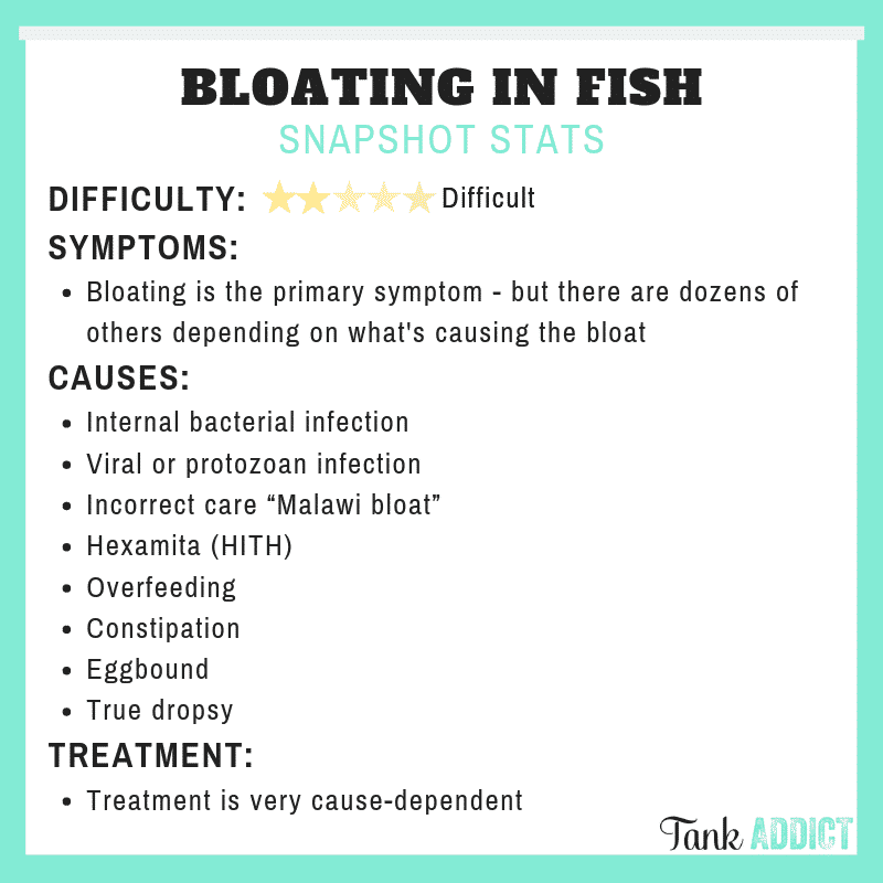 Why do fish and shellfish cause bloating?