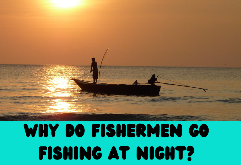 Why do fishermen fish at night?
