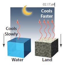 Why do land and water heat and cool at different rates?