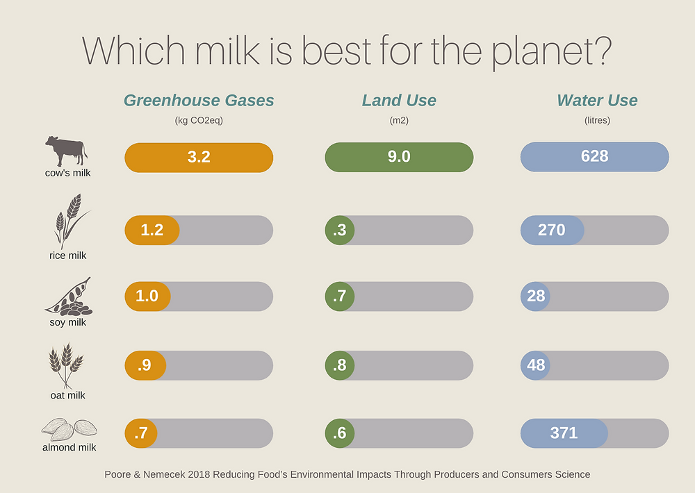 Why do people prefer plant-based milk?