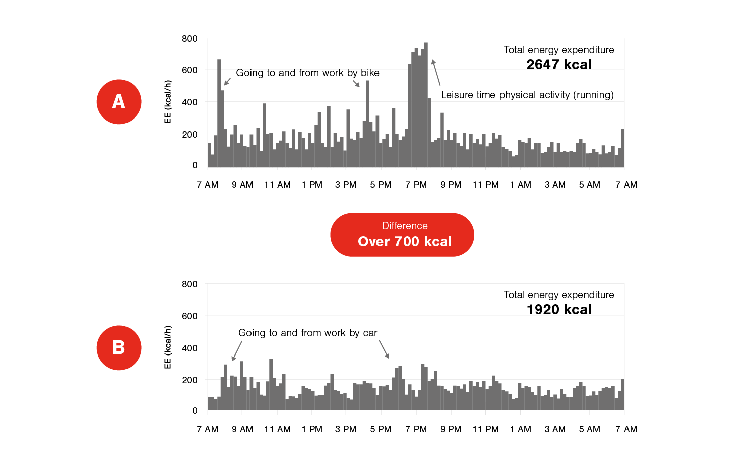 Why do some people burn more calories than others?