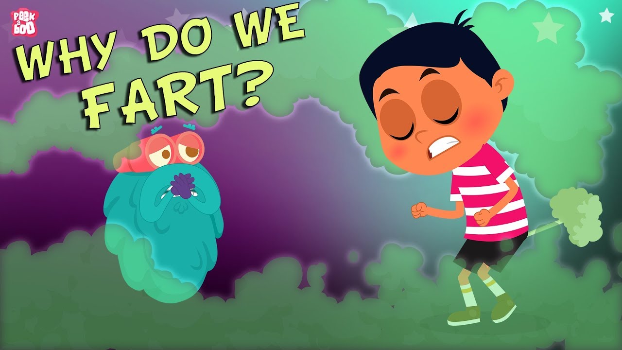 Why do we fart?