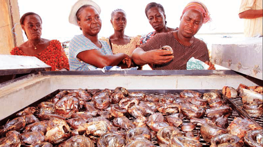 Why do we smoke and dry fish?