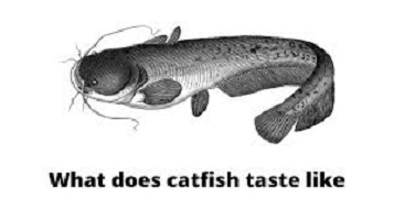 Why does fish taste like dirt?