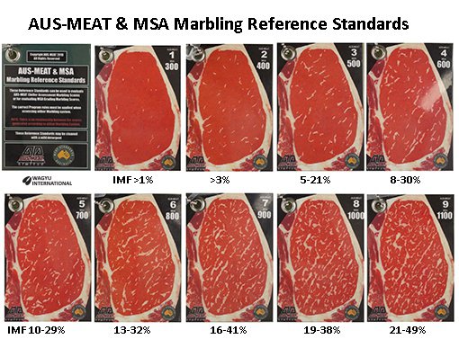 Why is choice more expensive than prime?