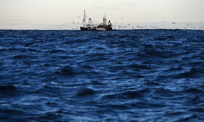 Why is cod fishing unsustainable?