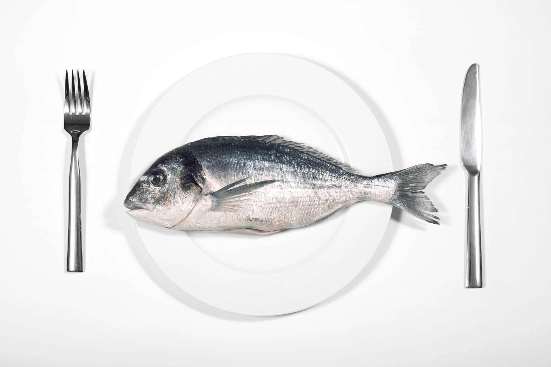 Why is eating fish OK but not meat?