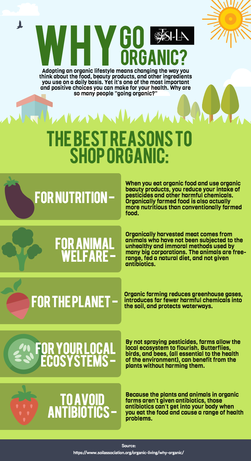 Why is it important to buy organic food?