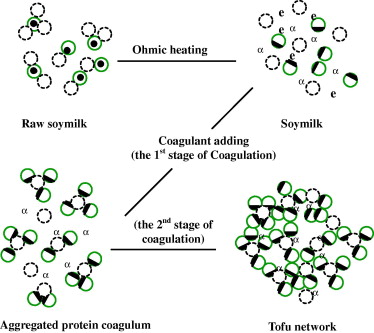 Why is it important to heat the soymilk before coagulation?