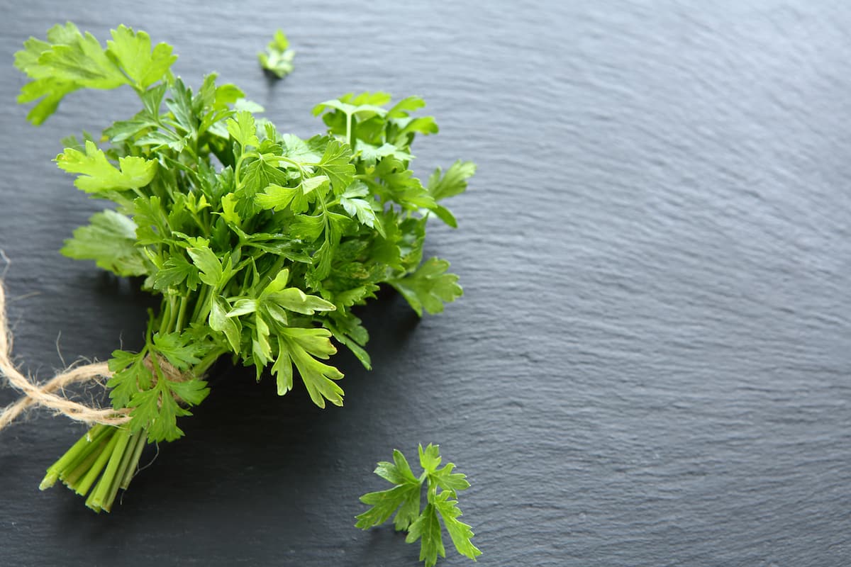 Why is my parsley so bitter?