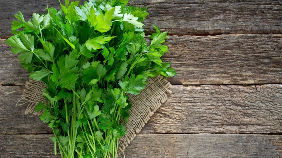 Why is parsley used in cooking?