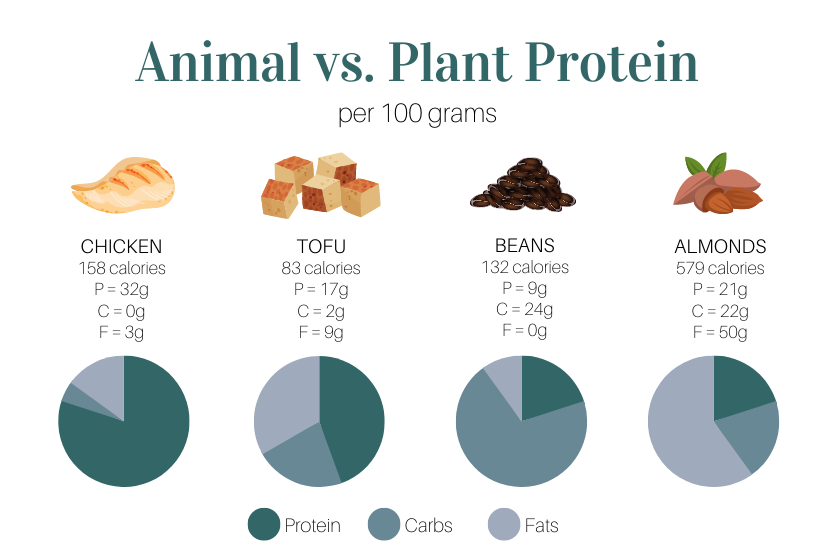 Why is plant protein inferior to animal protein?