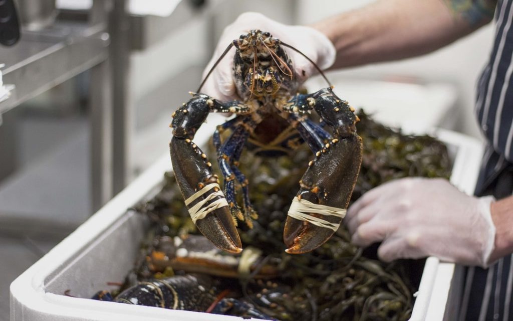Why is seafood important in Ireland?