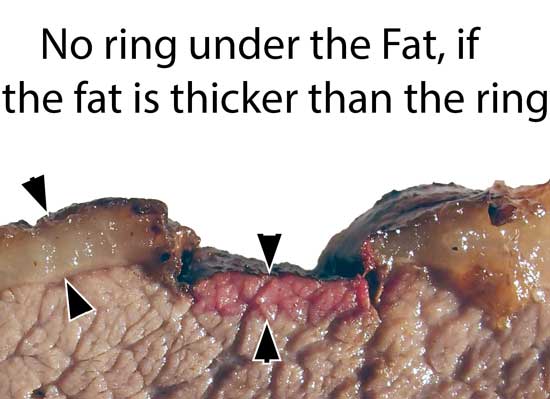 Why is the carbon in my smoker so greasy?