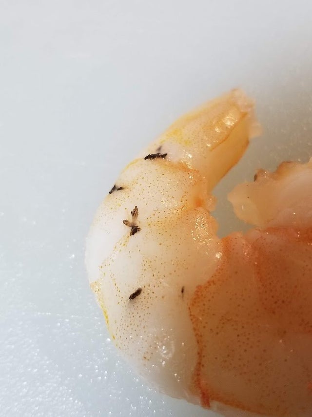 Why is there black spots on my shrimp?
