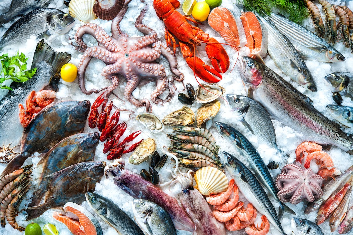 Why seafood is the best?