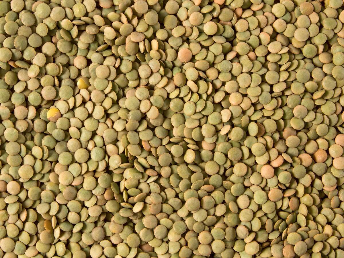 Why you shouldn't eat lentils?