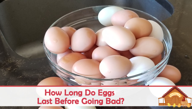 Will eggs spoil at 50 degrees?