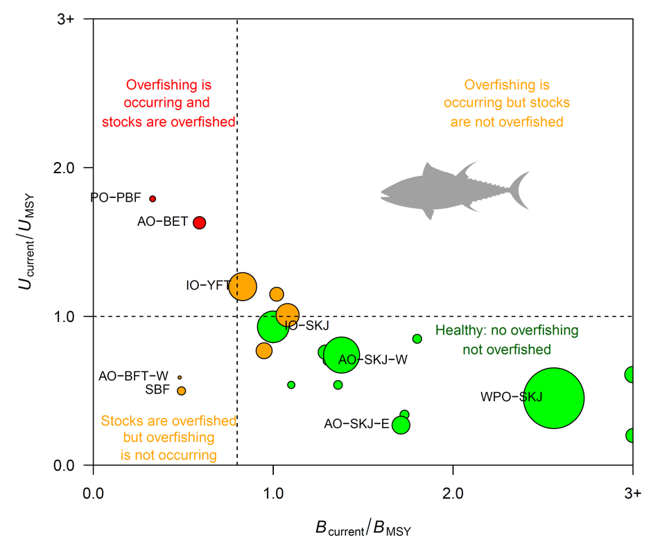Will tuna ever go extinct?